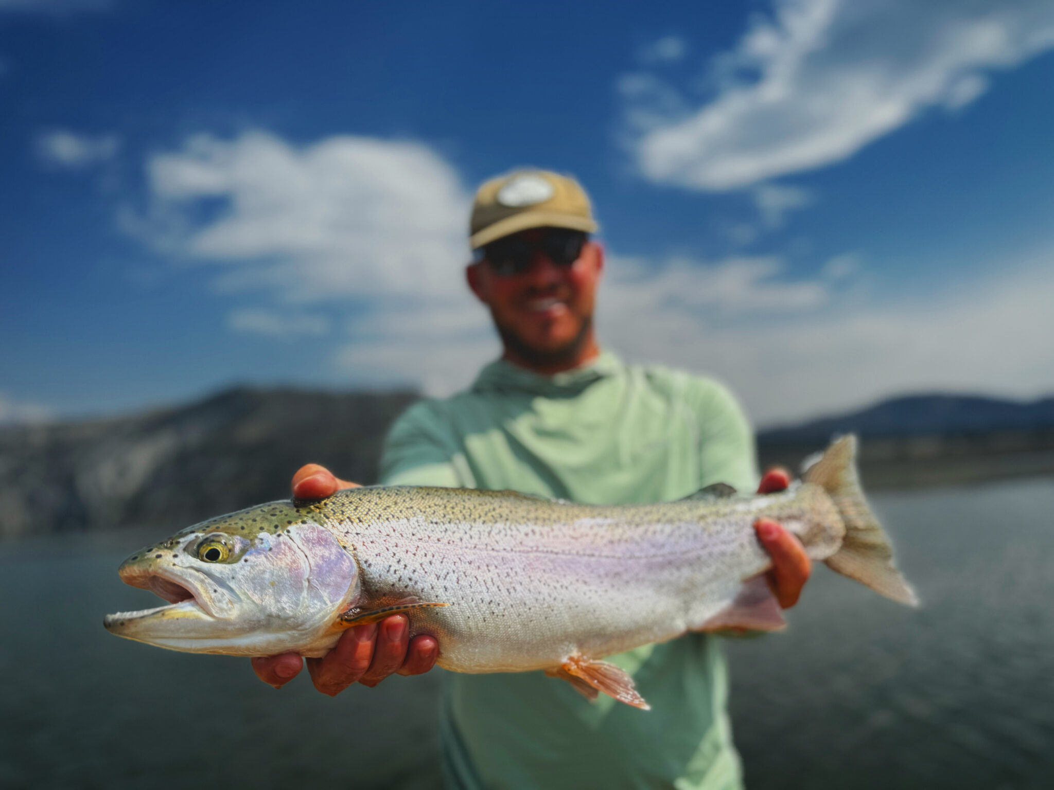 Trico Hatch on the Missouri River ~ Living Water Guides