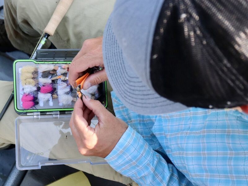 The Skwala Hatch in Montana ~ Living Water Fly Fishing