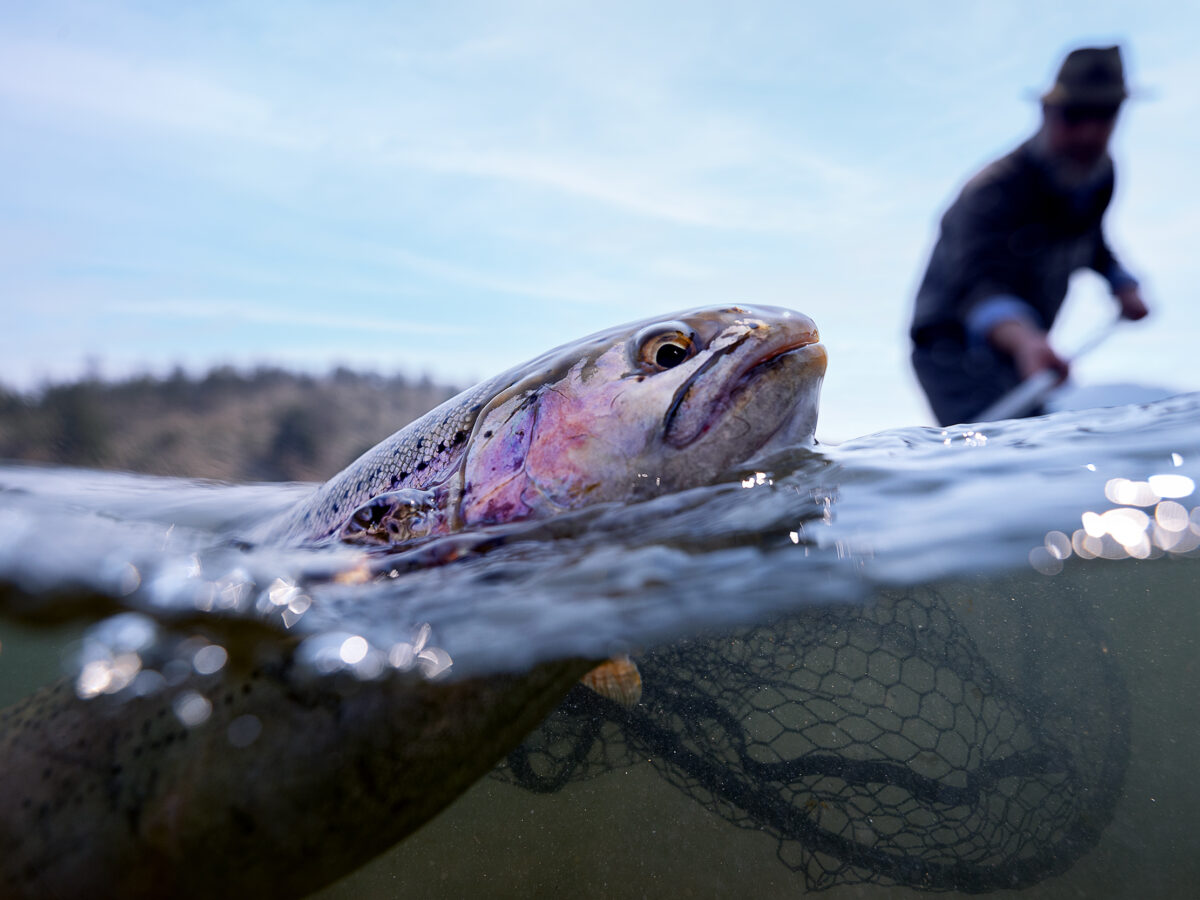 Best Times to Fly Fish the Missouri ~ Living Water Guides | Missouri ...