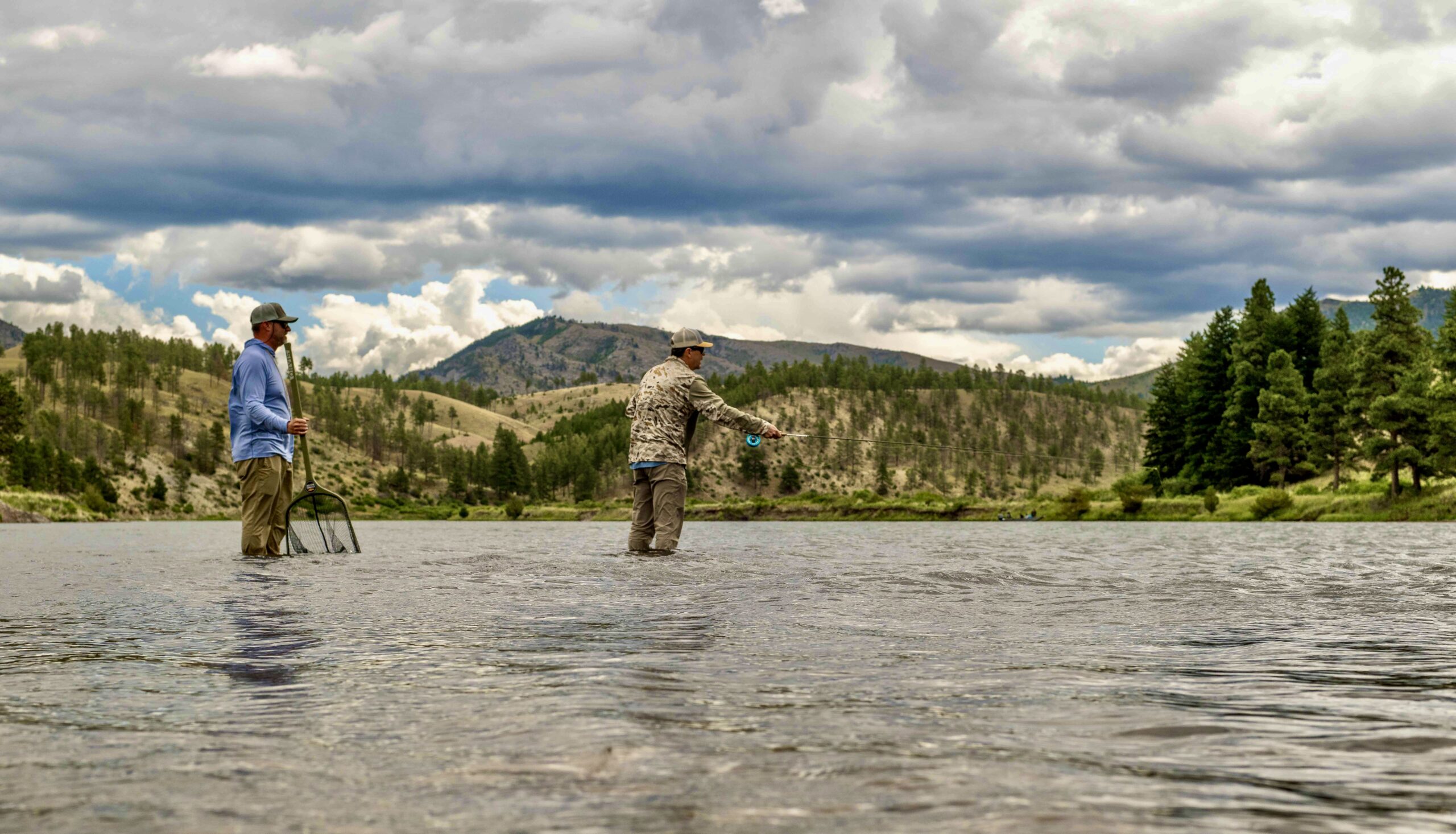 Trico Hatch on the Missouri River ~ Living Water Guides