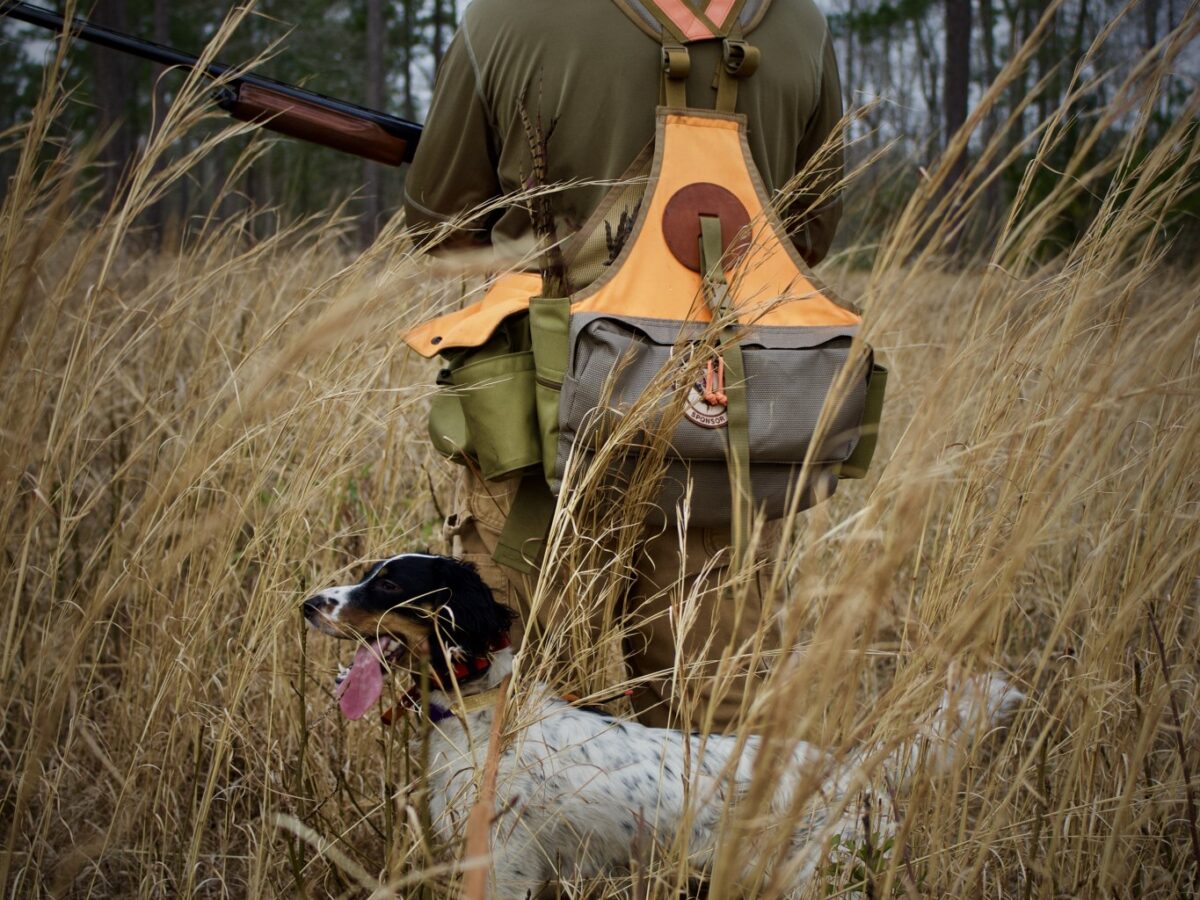 Upland Hunting South Carolina