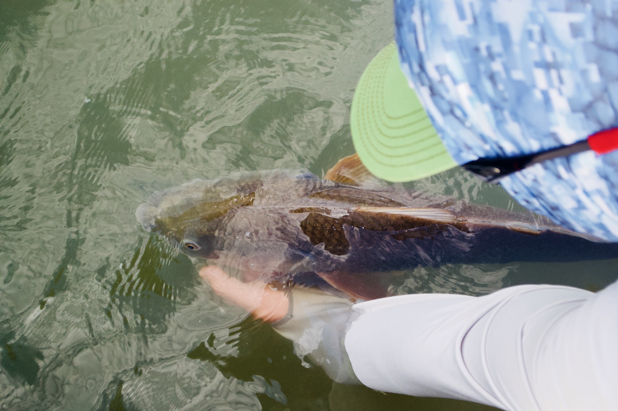 Catch and Release Fishing - Redfish | Speckled Sea Trout