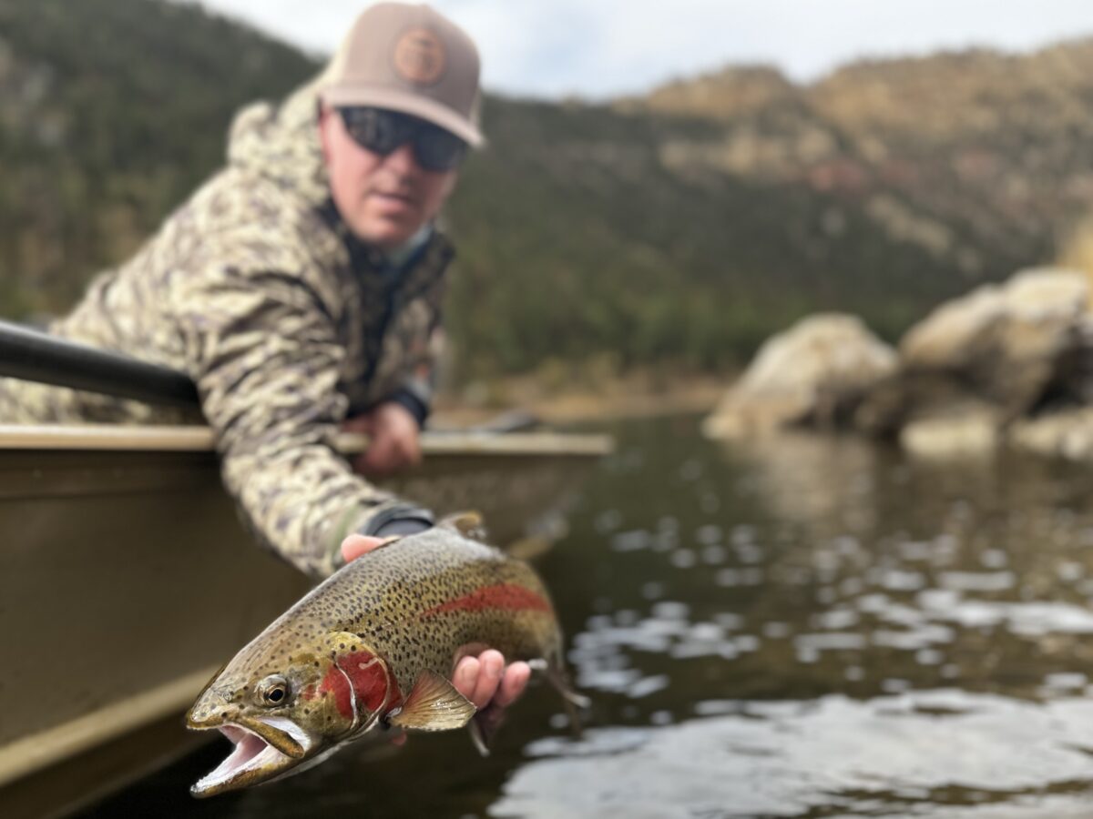 Streamer Fishing with Sinking Lines ~ Living Water Guides